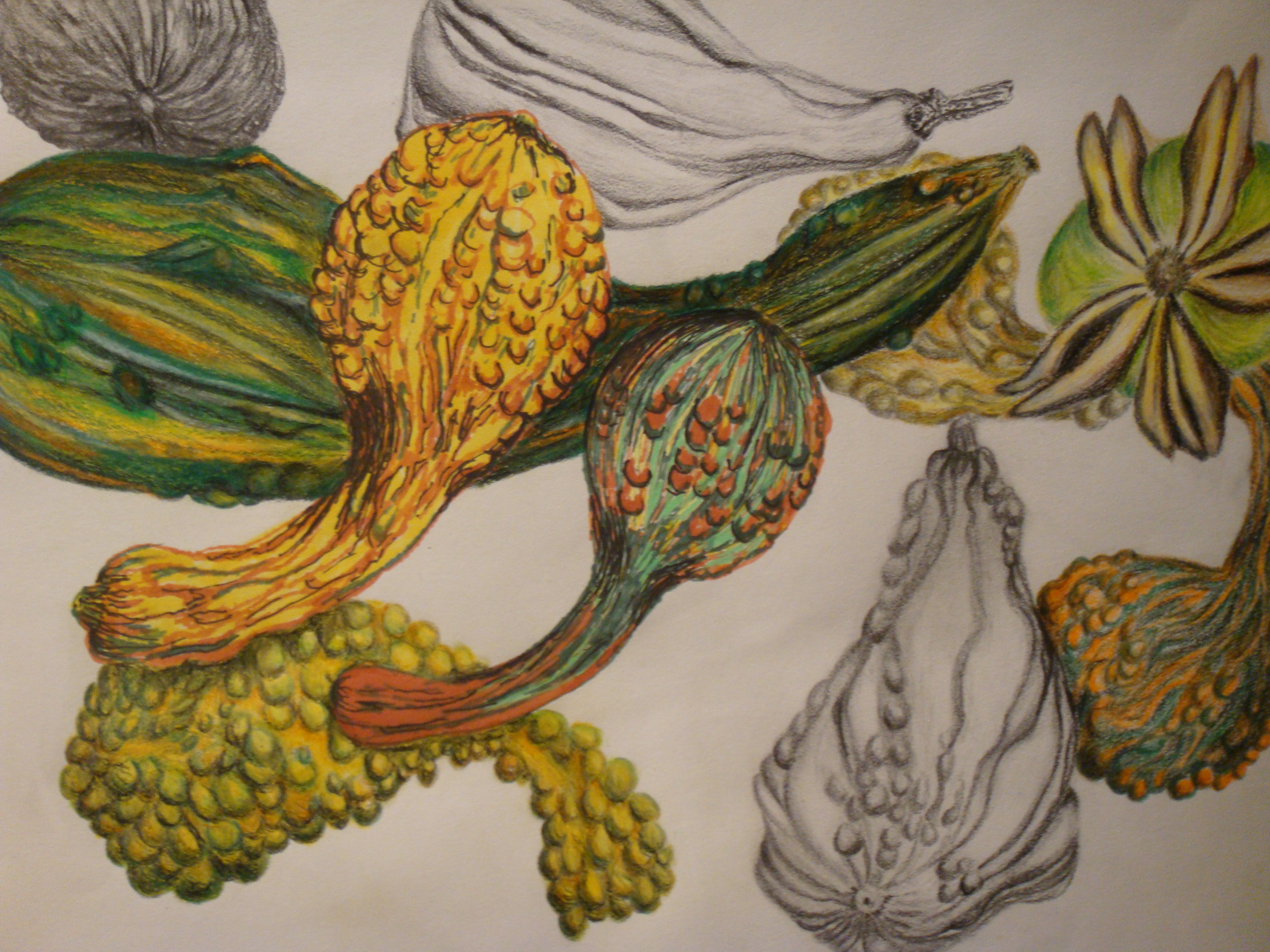 Floating Gourds – Leslie Swartz